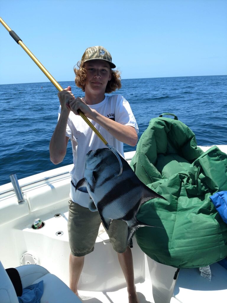 Gallery - Because Logan Wood